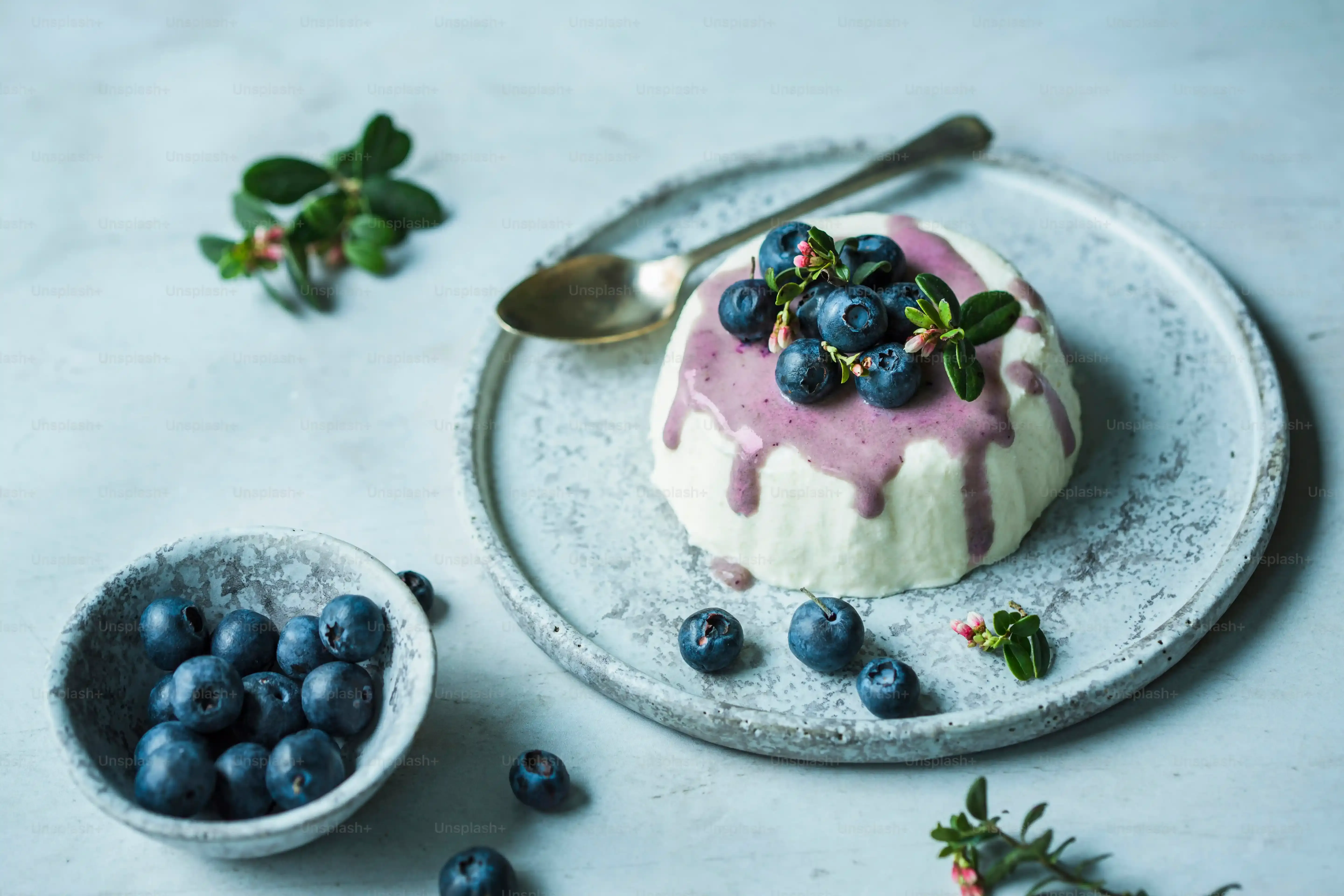 Easy frozen blueberry cream cheese dessert Recipe | yummyhealthydesserts